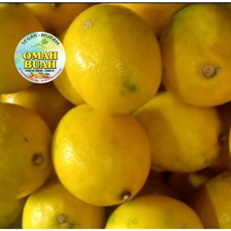 Jual Lemon California Lokal Fresh Segar 500 gram - 1Kg | Shopee Indonesia