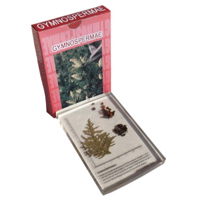 Jual Bioplastik Awetan Spesimen | Shopee Indonesia