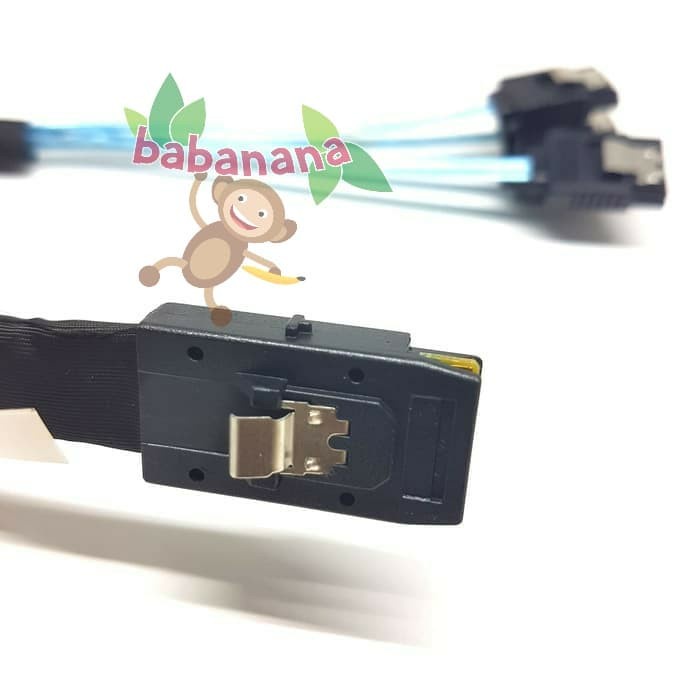 Jual Mini SAS 4i SFF-8087 36-Pin Male to 4 SATA Data Splitter Adapter ...