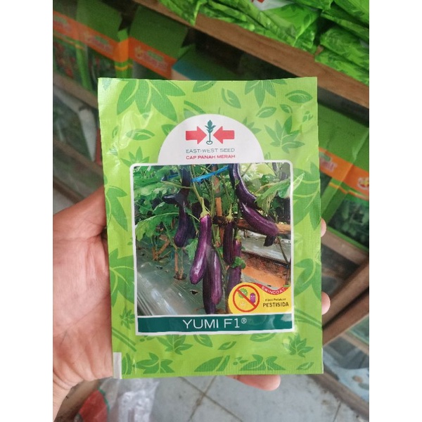 Jual BENIH TERONG PANJANG UNGU YUMI F1 CAP PANAH MERAH ISI 1.100 BUTIR | Shopee Indonesia