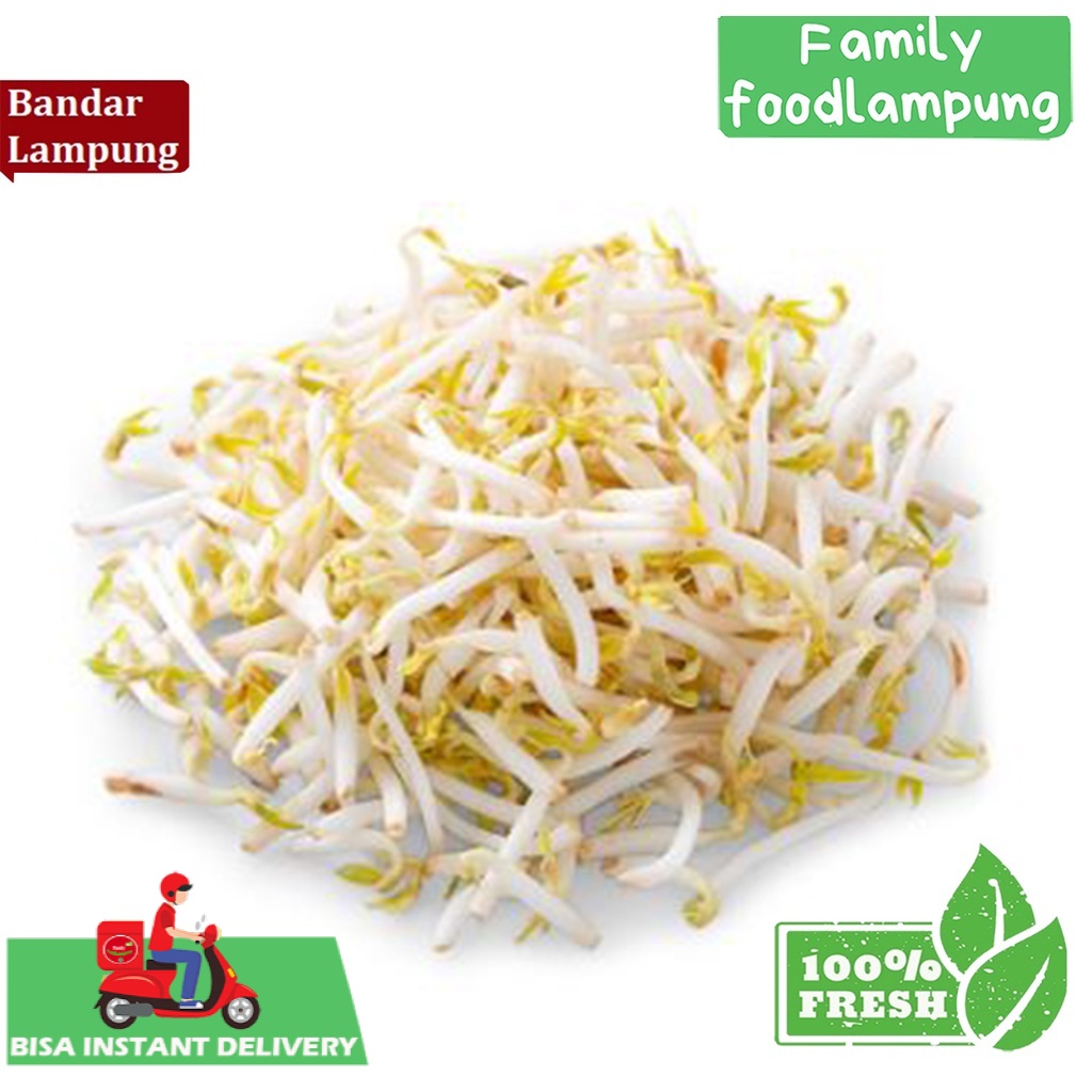 Jual Tauge Toge Sayuran Segar 500 gr Family Food Lampung | Shopee Indonesia