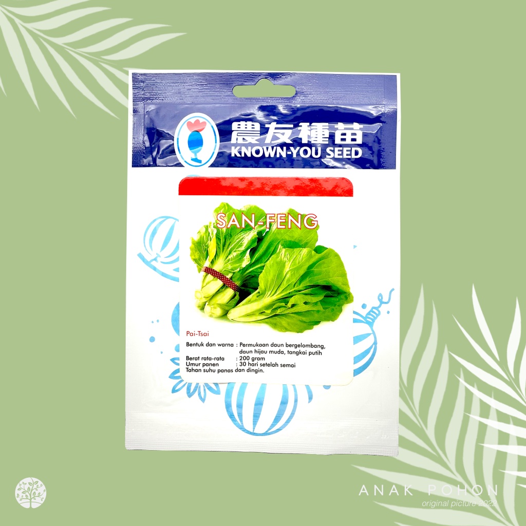 Jual (1 PACK) Benih Sawi Samhong King SAN FENG Pak Choy Pai-Tsai ...