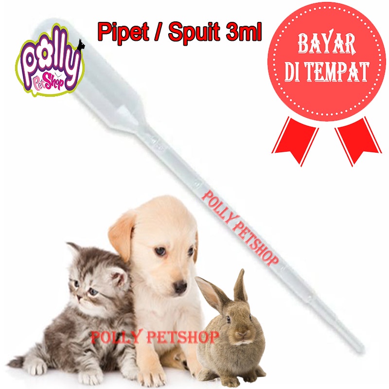Jual Pipet Plastik Pipet Tetes Spuit Pemberi Obat Kucing Anjing Hewan ...
