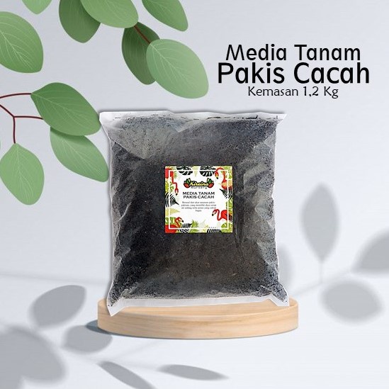 Jual Media Tanam Pakis Cacah - 1,2 Kg | Shopee Indonesia