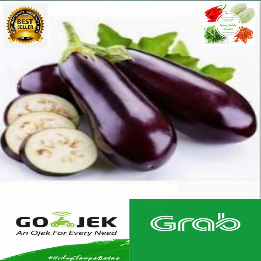 Jual Terong Ungu Tersedia Dalam Varian 250 Gram 500 Gram 1 Kg Di Kemas Dalam Kemasan Per Pcs ...