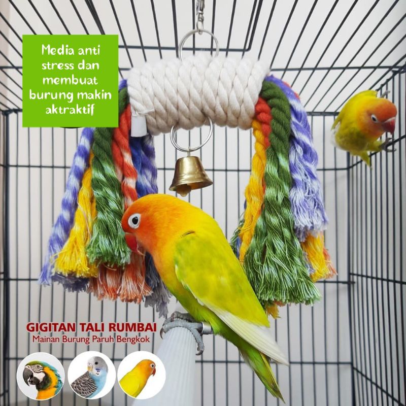 Jual Gigitan tali rumbai untuk mainan burung parrot | Shopee Indonesia