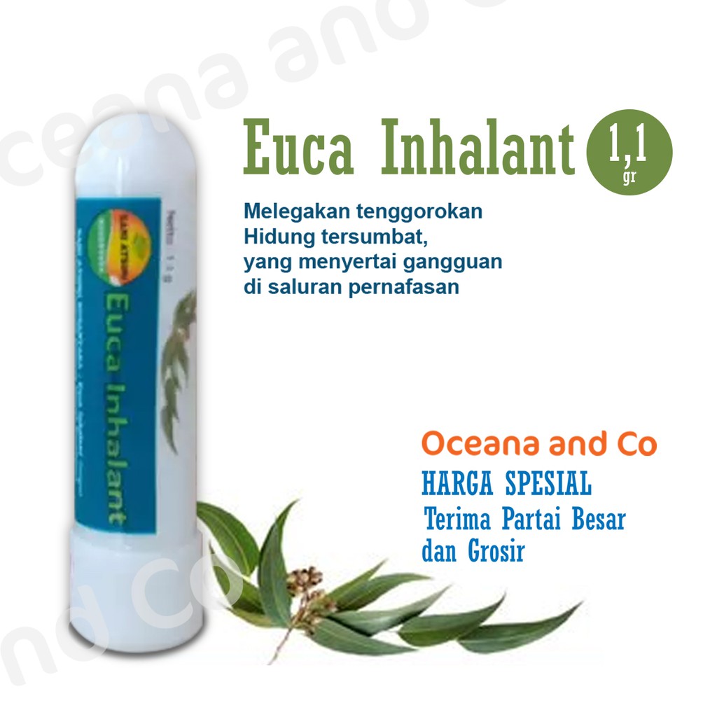 Jual Euca Inhalant 1,1gr CAP LANG / Euca Inhaler Eucalyptus | Shopee ...