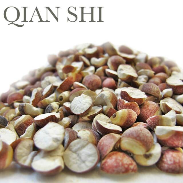 Jual 10 g 50 gr 100 gram 芡实 Qian shi euryale ferox seed seeds | Shopee ...