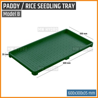 Jual Paddy / Rice Seedling Tray, Tray Semai Bibit Padi / Microgreen - B ...
