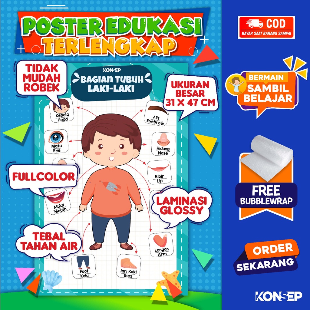 Jual Konsep Poster Edukasi Bagian Tubuh Laki - Laki Laminasi Glossy ...