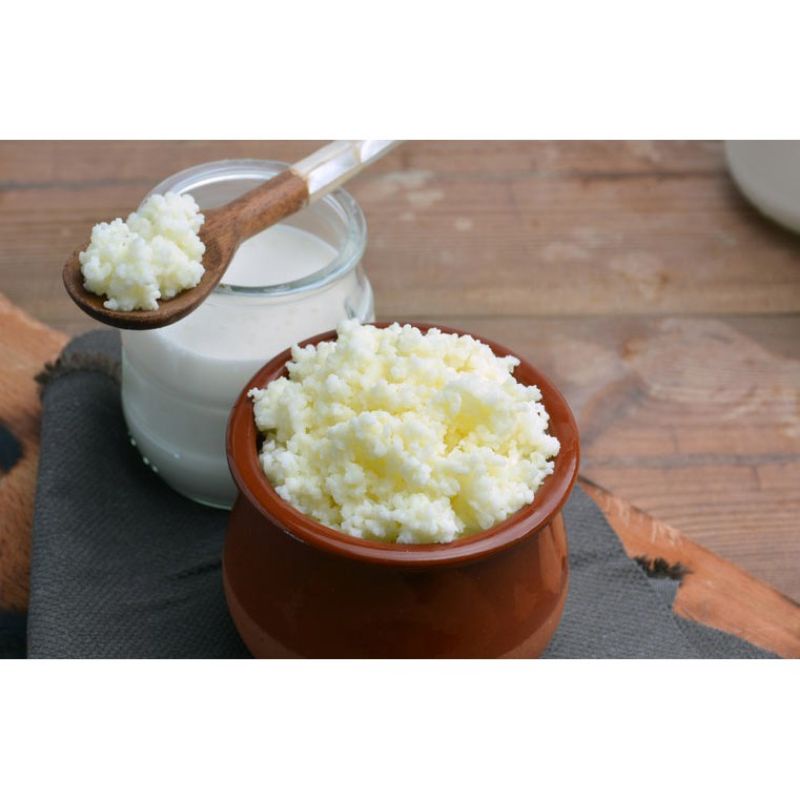Jual Bibit Kefir Susu ASLI 1 Gram | Bukan Starter/Instant | Milk Kefir ...
