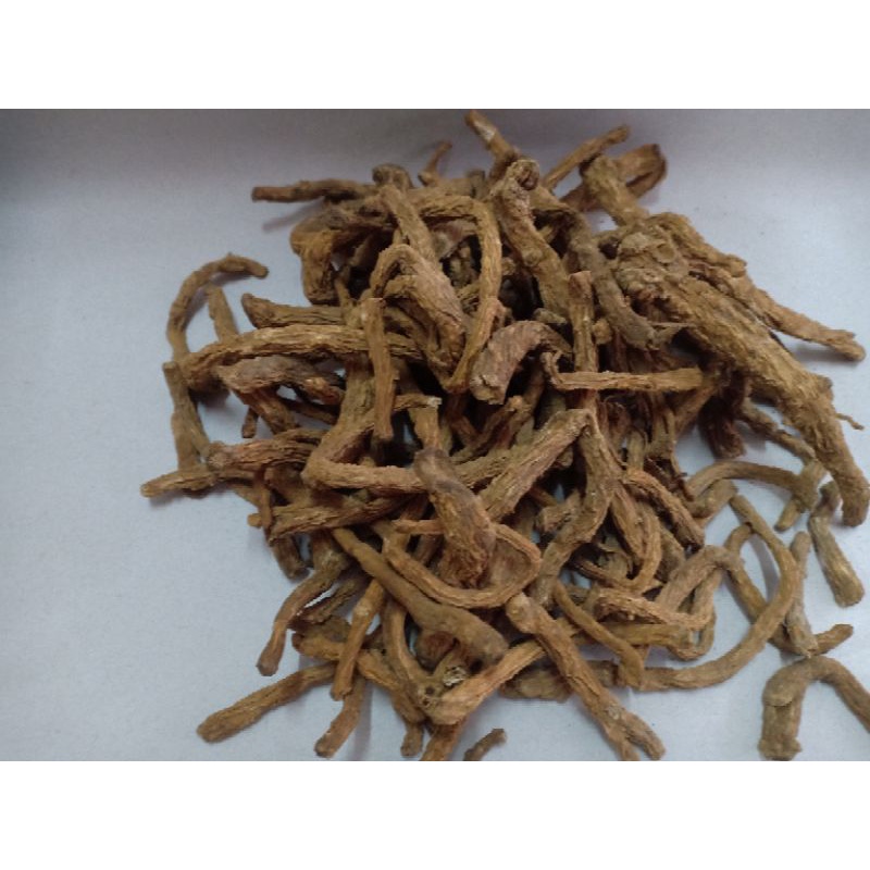Jual dang gui wei angelica sinensis 100 gram | Shopee Indonesia