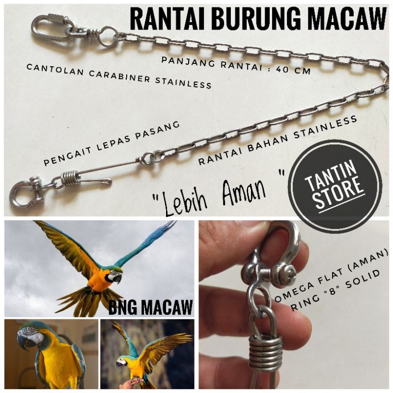 Jual Rantai Stainles Burung Macaw Parrot BNG Macau | Shopee Indonesia