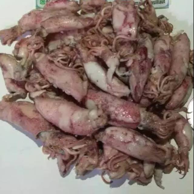 Jual Cumi Telor Rebus Asin 1kg 3-5cm | Shopee Indonesia
