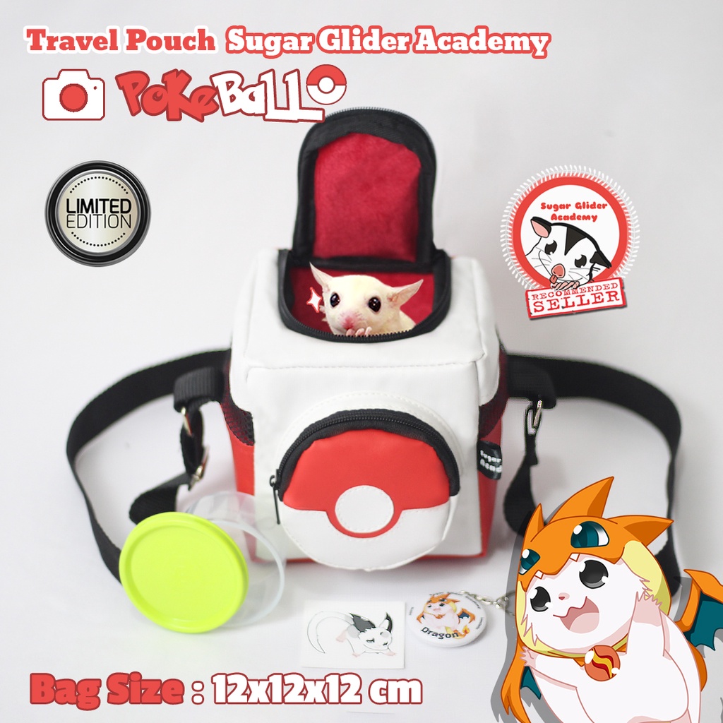 Jual Pokemon Scarlet Violet Unite Go Hamster Let's Go Pikachu Eevee ...