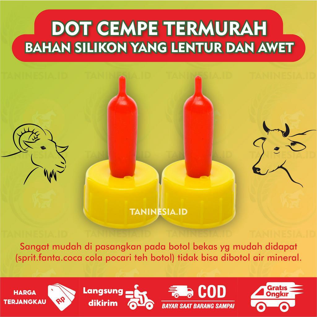 Jual DOT CEMPE KECIL UNTUK ANAK KAMBING DOMBA KUALITAS NIPPLE KAMBING ...