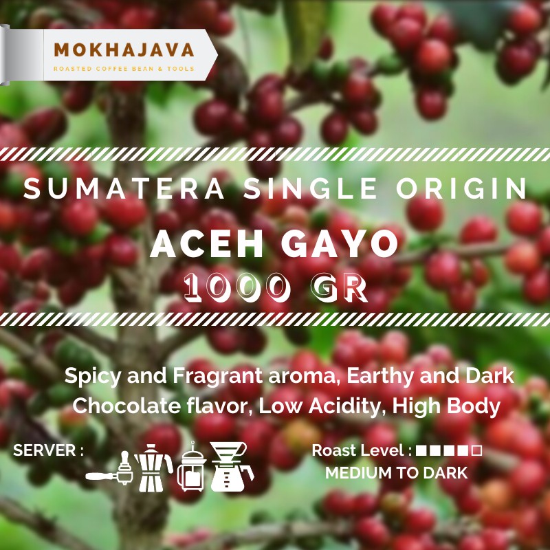 Jual Aceh Gayo Arabica Coffee Bean Single Origin 1000 gr Biji Kopi ...