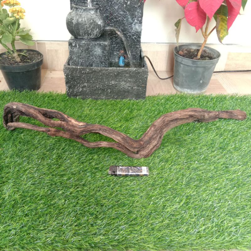 Jual kayu santigi karang atau laut grade A138 | Shopee Indonesia