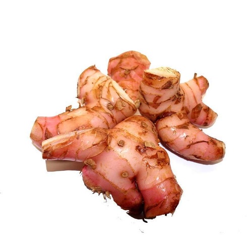 Jual LENGKUAS MERAH SEGAR | LAOS MERAH SEGAR 1kg | Shopee Indonesia