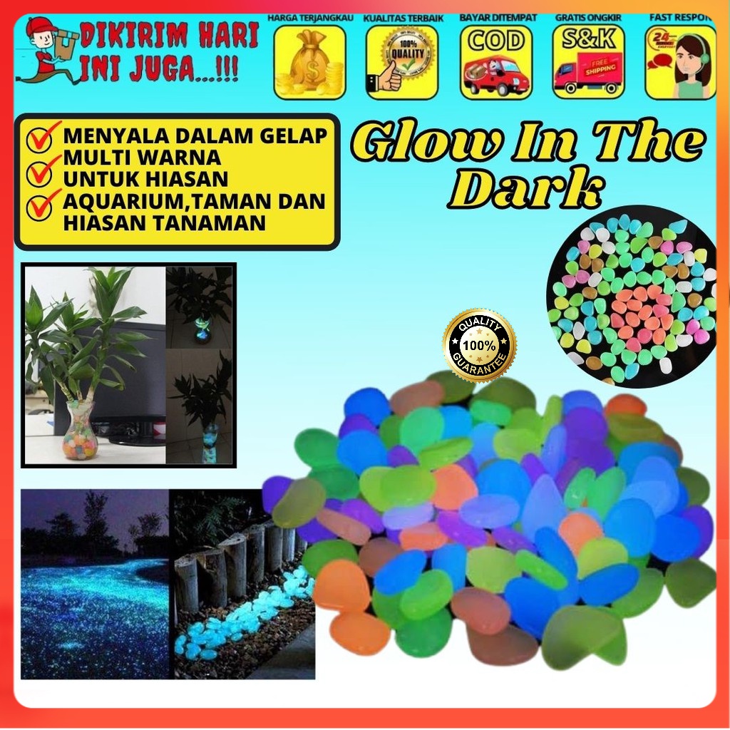 Jual BATU GLOW IN THE DARK LUMINOUS STONE PEBBLE AKUARIUM AQUARIUM ...