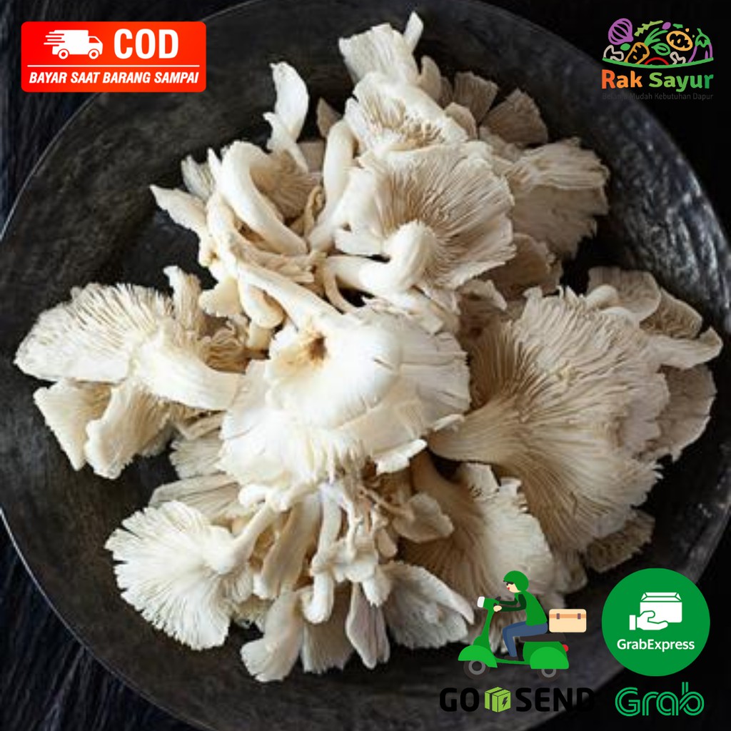 Jual Sayuran Segar Rak Sayur Padang Fresh Jamur Tiram per Pack Bungkus ...