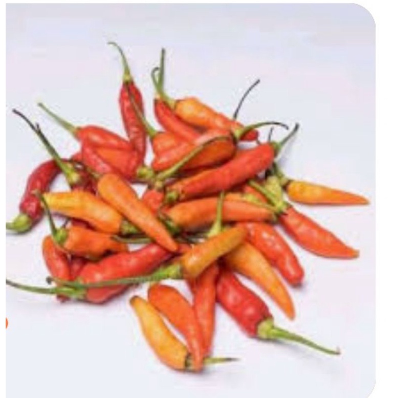 Jual Cabe Rawit Merah | Shopee Indonesia
