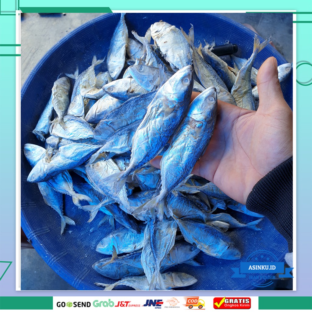 Jual IKAN GEMBUNG PEDA 500g | IKAN ASIN GEMBUNG | IKAN PEDA 500g | IKAN ...