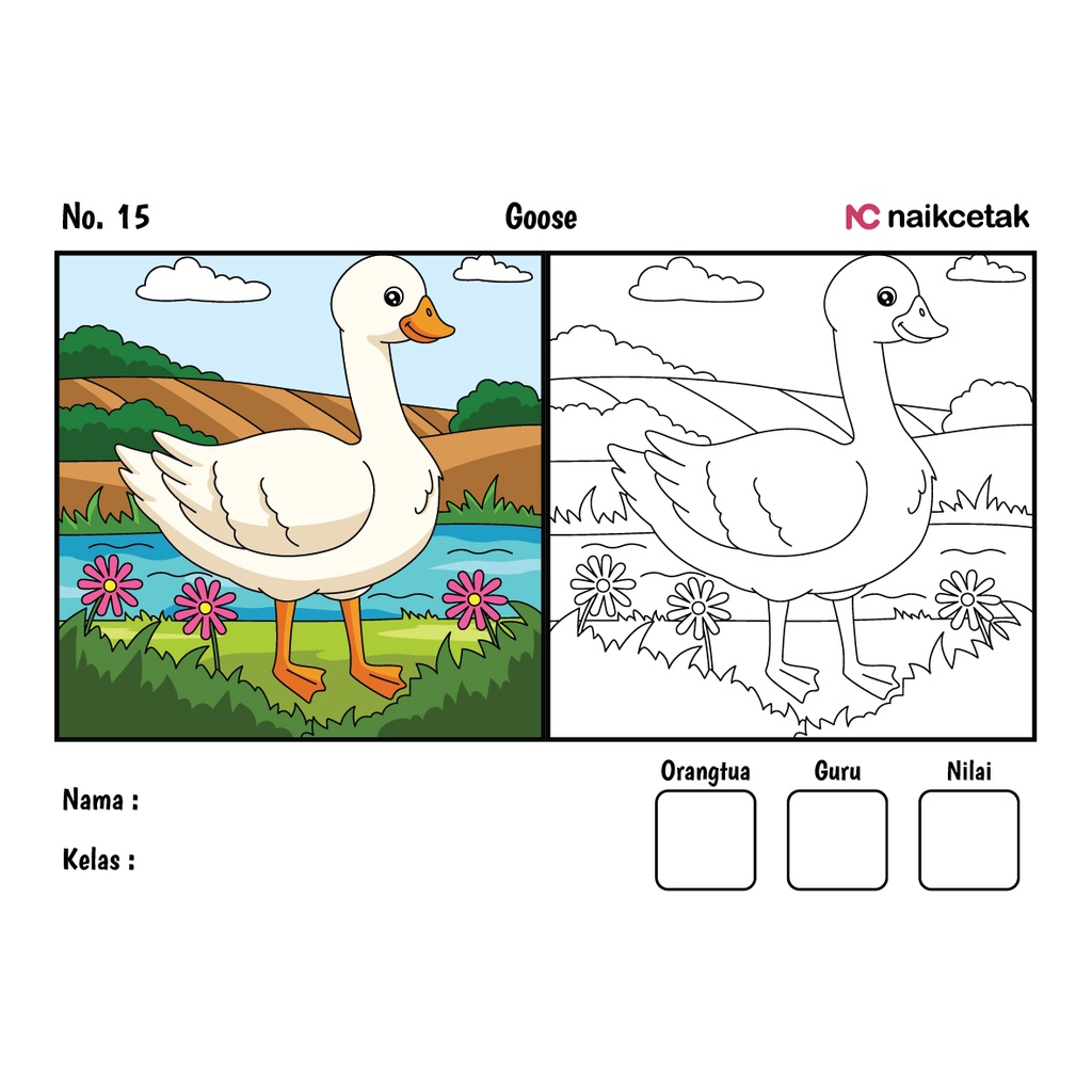 Jual GAMBAR & SKETSA MEWARNAI - TEMA FARM ANIMALS | Shopee Indonesia