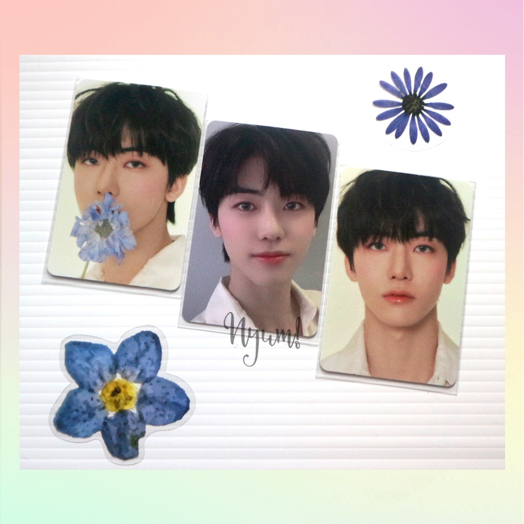 Jual Ready Candylab V3 Jeno Jaemin Photocard Photomatic Candy Lab Ver 3 ...