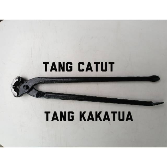 Jual Tang catut kakatua gegep bbcr | Shopee Indonesia