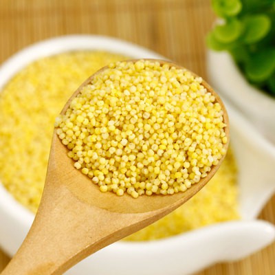 Jual Organic Hulled Millet / Biji Millet Multigrain 500gr Beras Millet ...