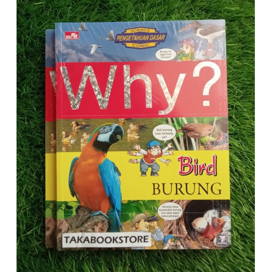 Jual Why? Bird ( Burung ) | Shopee Indonesia