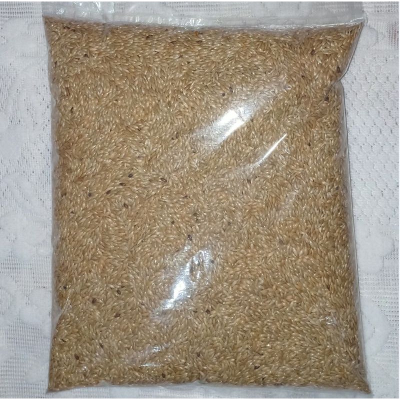 Jual Kenari Seed/ Canary Seed / Padi Mas Repack 1 kg | Shopee Indonesia