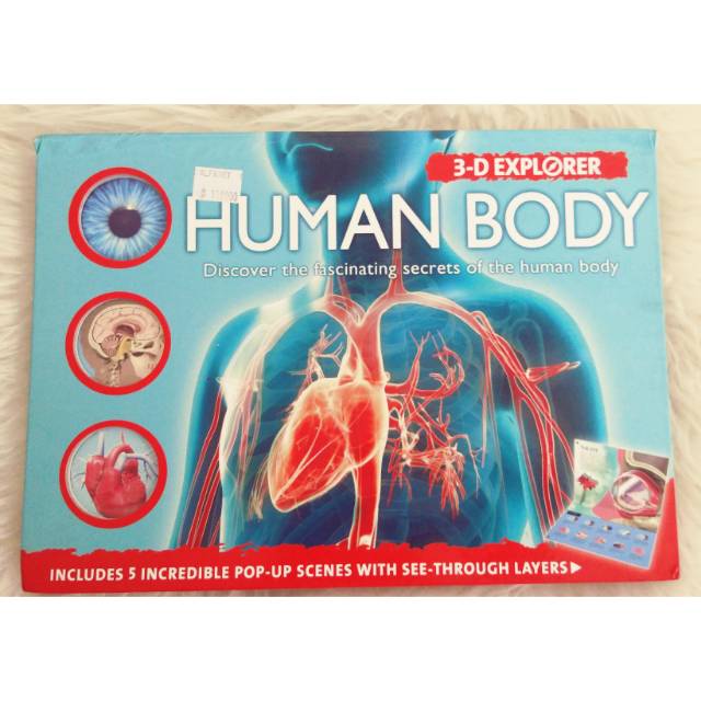 Jual HUMAN BODY 3-D EXPLORER | Shopee Indonesia