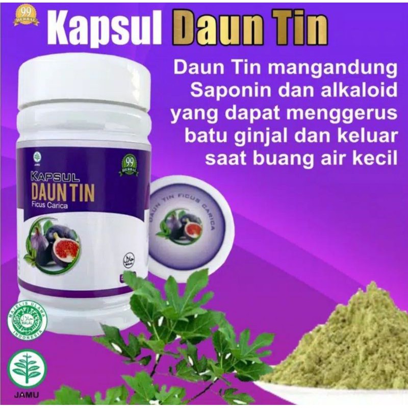 Jual kapsul daun tin | daun tin herbal | extrac daun tin | Shopee Indonesia
