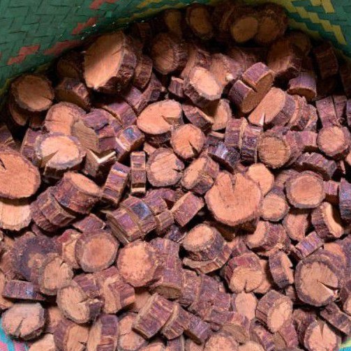 Jual AKAR BAJAKAH MERAH/GETAH MERAH TAMPALA OBAT KANKER TUMOR BENJOLAN ...