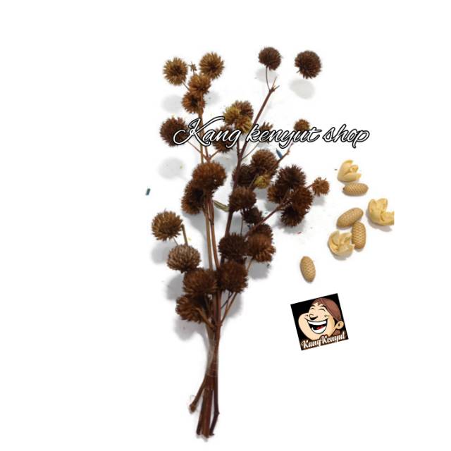 Jual Bunga pompom 1 ikat, tinggi 25-30cm | Shopee Indonesia