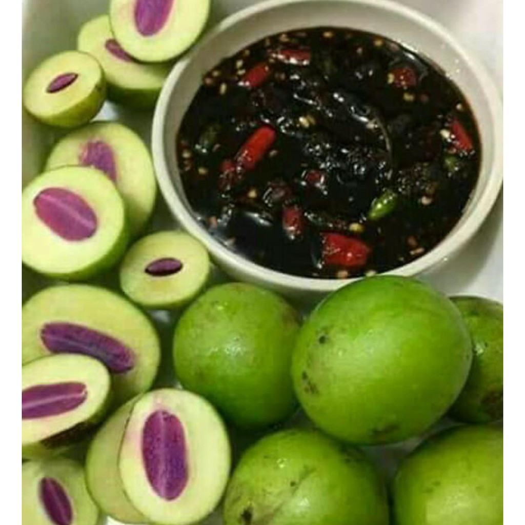 Jual Biji Benih Bibit Pohon Gandaria Atau Buah Jatake R” | Shopee Indonesia