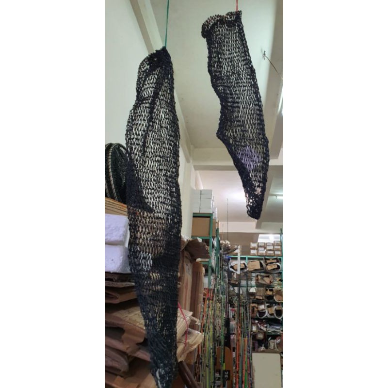 Jual sanggi (Wadh Ikan) | Shopee Indonesia