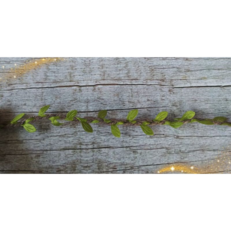 Jual Tali goni pita daun / sulur daun / daun rambat / tali goni daun ...