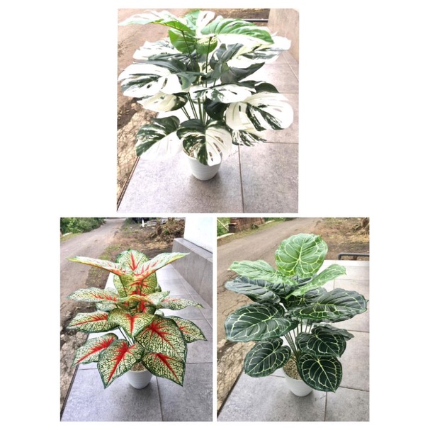 Jual daun beras Utah/ daun keladi artificial MURAH | Shopee Indonesia