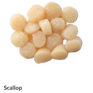 Jual KERANG KAMPAK DAGING SCALLOP TEBAL | Shopee Indonesia