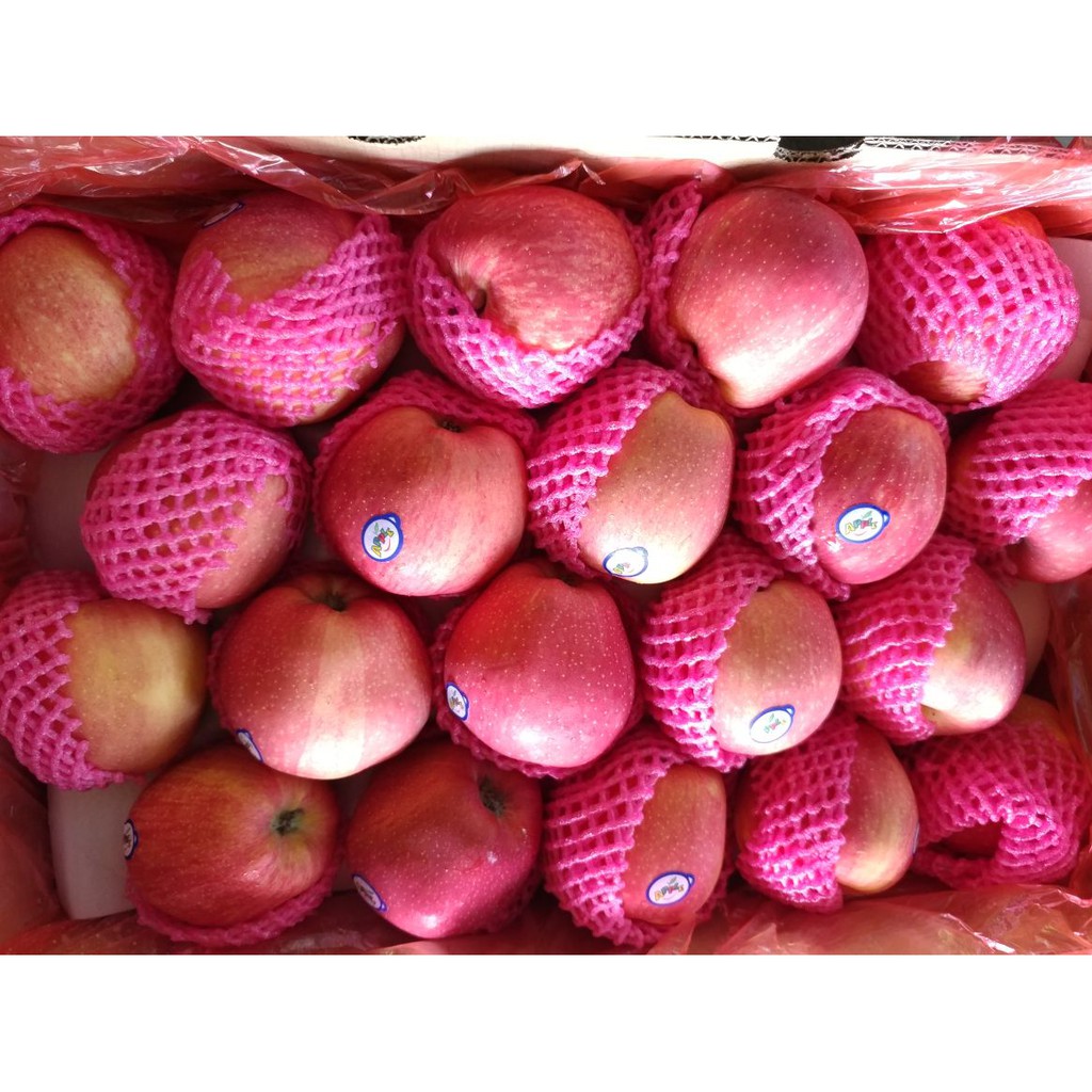 Jual APEL FUJI CHINA- PERKILO | Shopee Indonesia