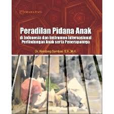 Jual Peradilan Pidana Anak di Indonesia dan Instrumen Internasional Perlindungan Anak serta ...