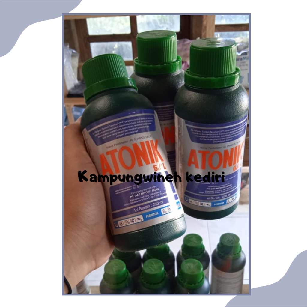 Jual ATONIK 6.5L Zat Pengatur Tumbuh Tanaman Isi 250ml | Shopee Indonesia