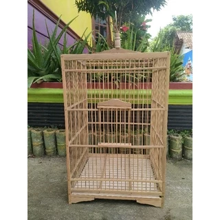 Jual Ukuran Sangkar Terlengkap & Harga Terbaru Juli 2024 | Shopee Indonesia