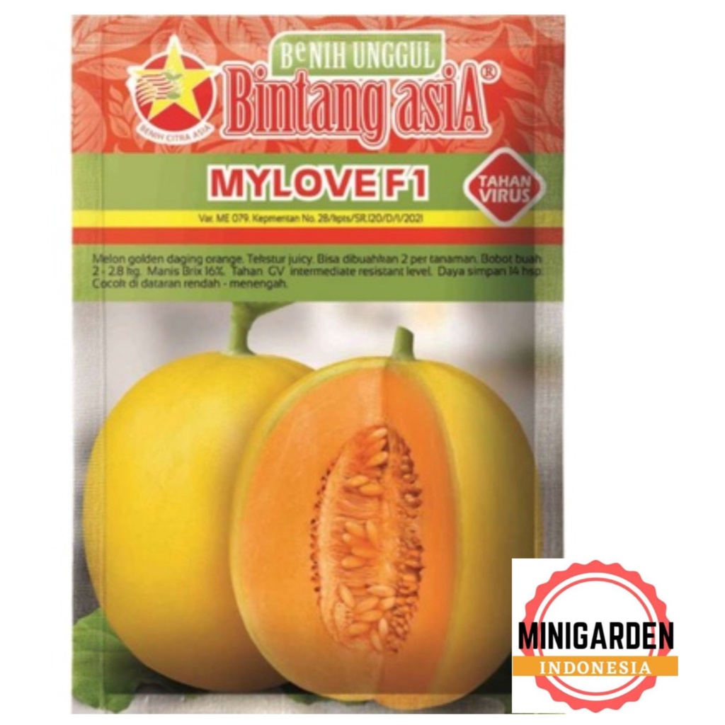 Jual MELON ORANGE EMAS MY LOVE 20 GRAM PACK BESAR benih bibit biji ...