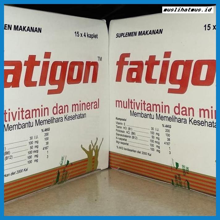 Jual OBAT-APOTIK77- FATIGON PUTIH 1S ISI 4 TABLET -ETC. | Shopee Indonesia