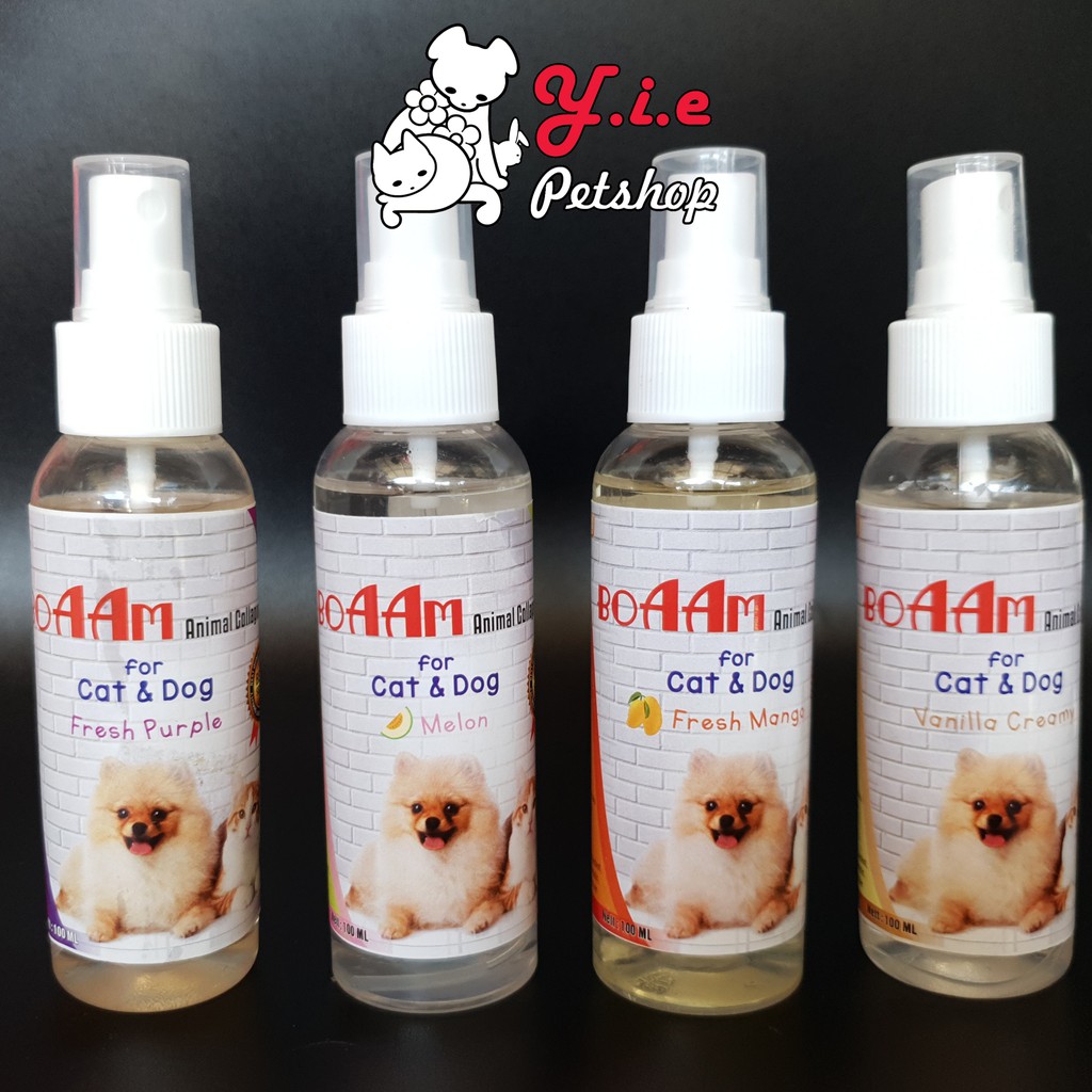Jual Parfum BOAAM 100ml | Shopee Indonesia