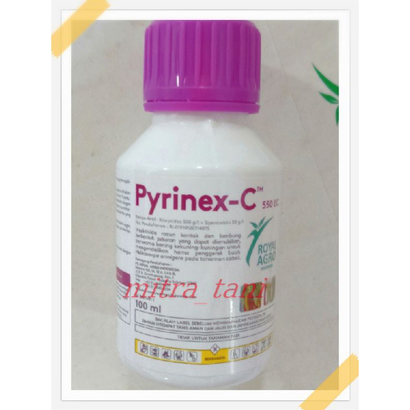 Jual insektisida klopririfos+sipermetrin PYRINEX C 550EC 100ml dari ...